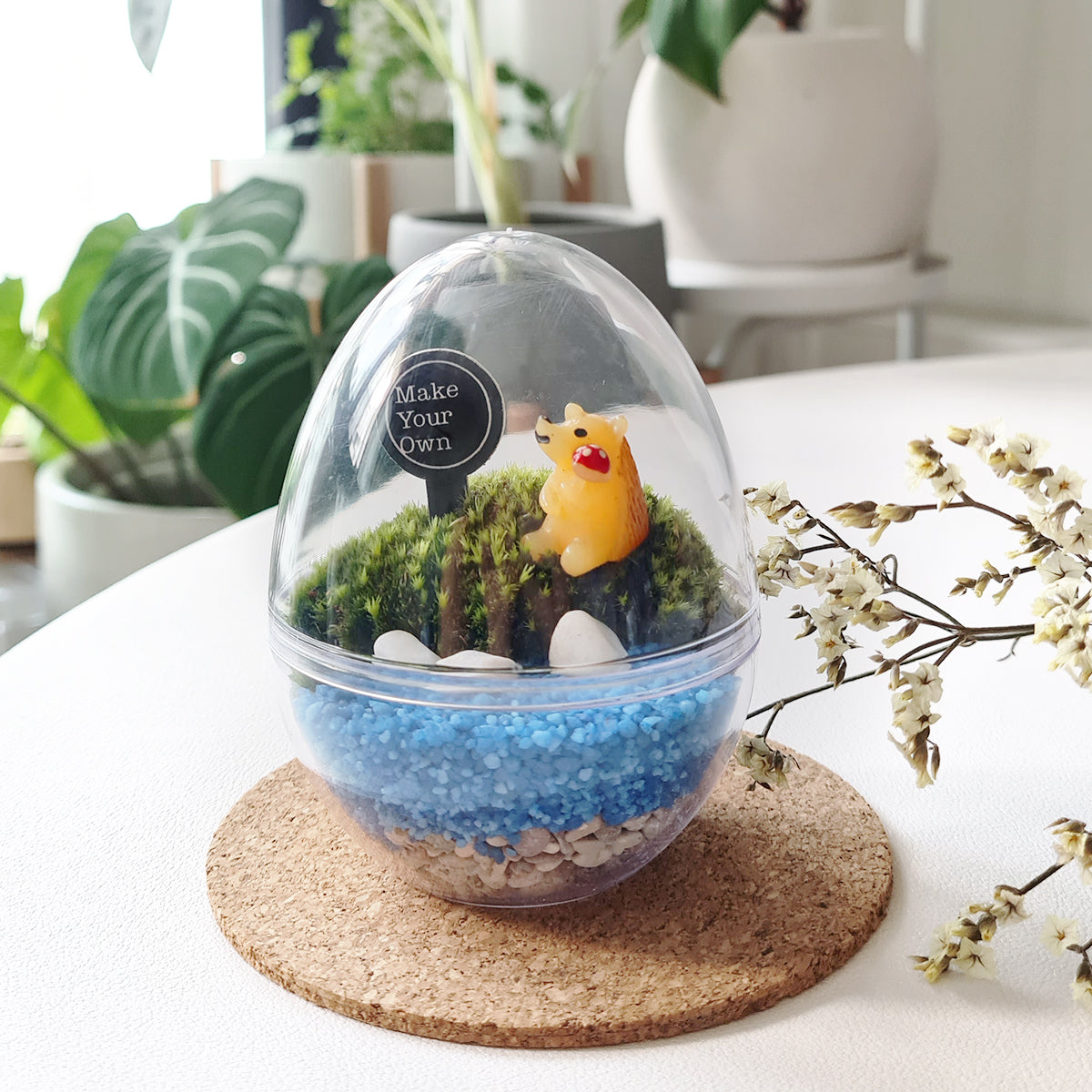 Event Booth - Egg Moss Terrarium - Make Your Own