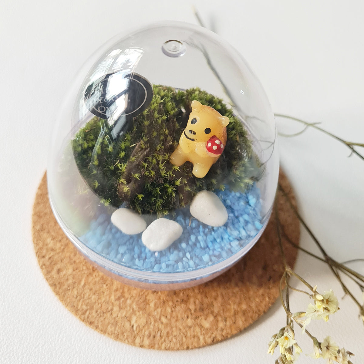 Event Booth - Egg Moss Terrarium - Make Your Own