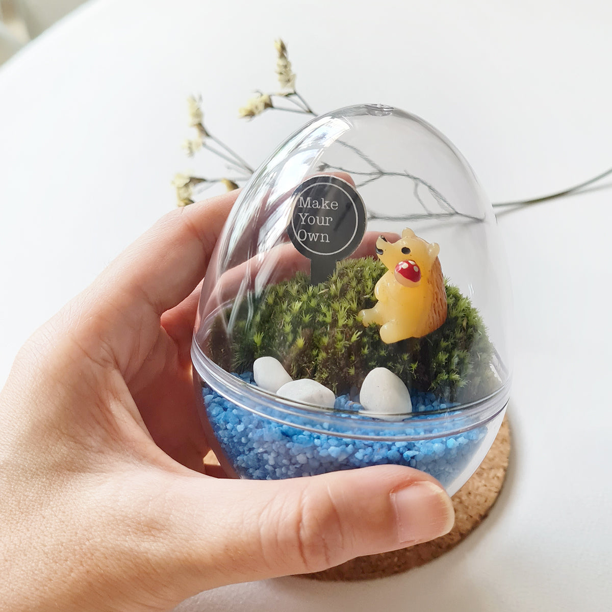 Event Booth - Egg Moss Terrarium - Make Your Own