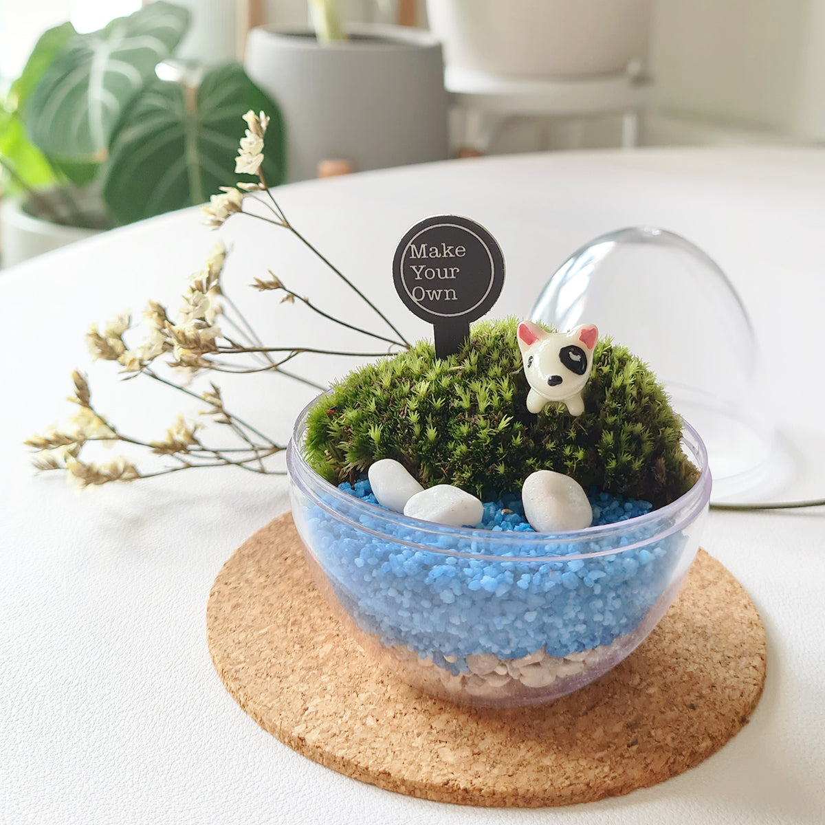 Event Booth - Egg Moss Terrarium - Make Your Own