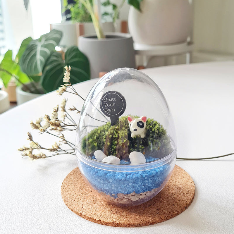 Event Booth - Egg Moss Terrarium - Make Your Own