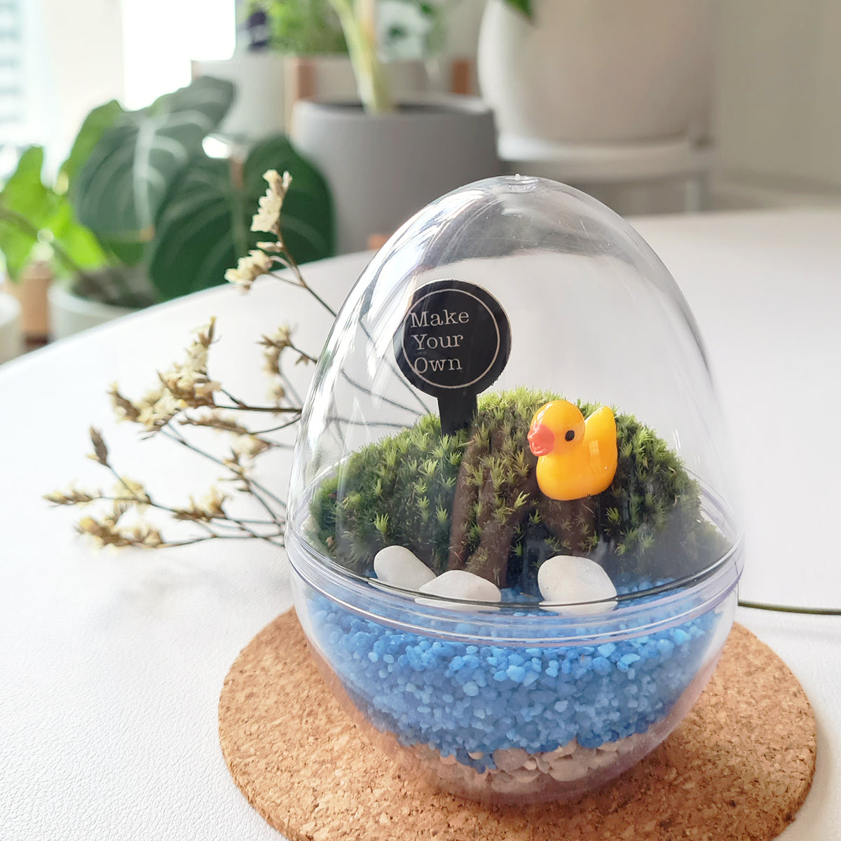 Event Booth - Egg Moss Terrarium - Make Your Own