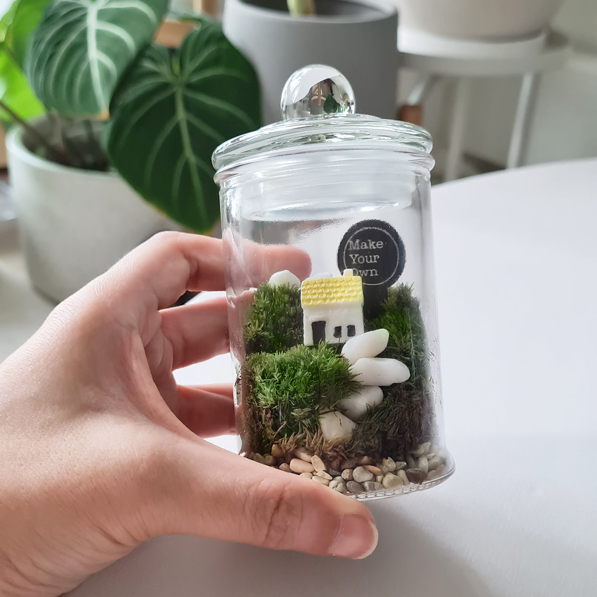 Event Booth - Mini Esta Moss Terrarium - Make Your Own