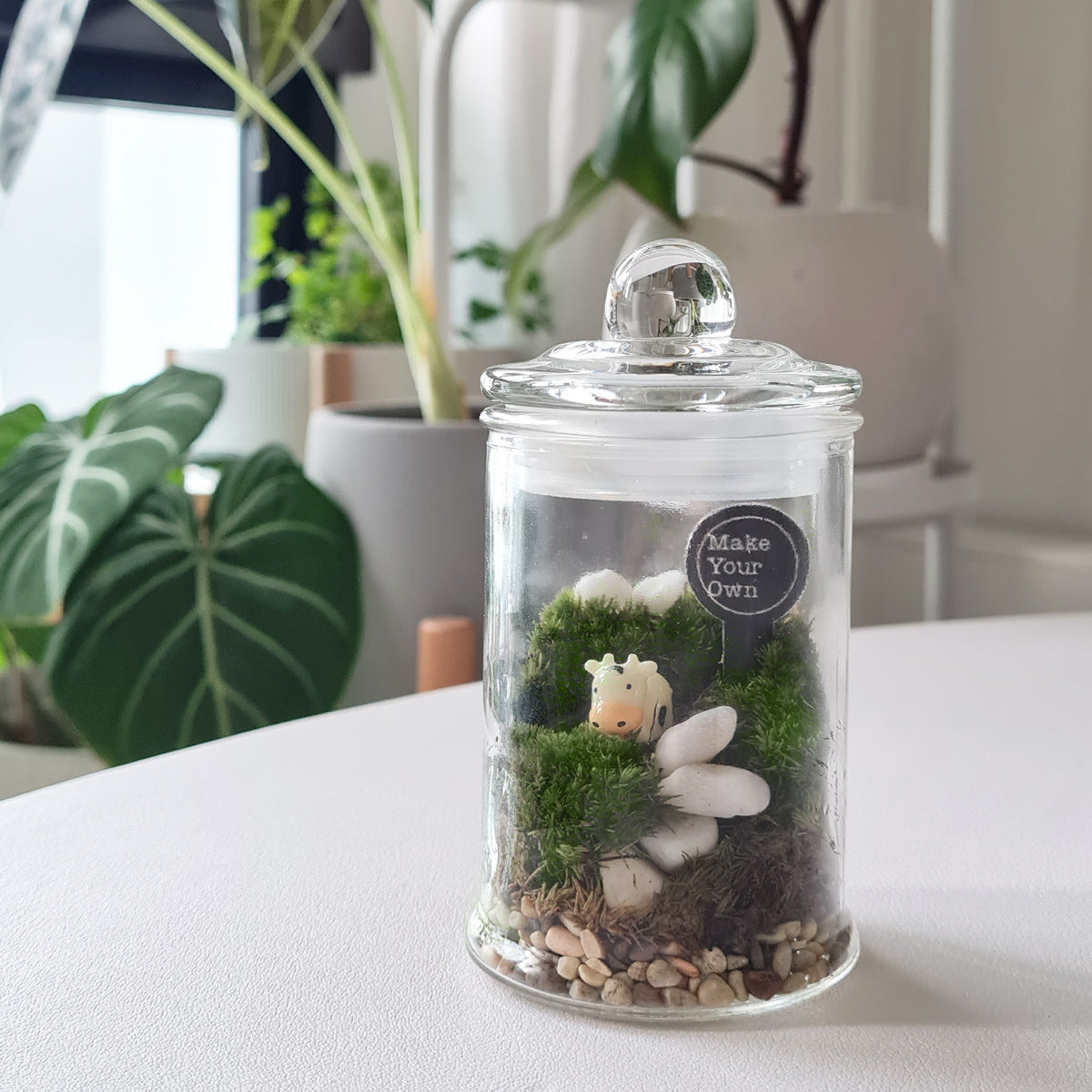 Event Booth - Mini Esta Moss Terrarium - Make Your Own
