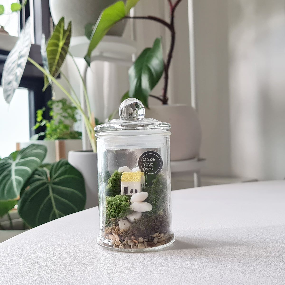 Event Booth - Mini Esta Moss Terrarium - Make Your Own