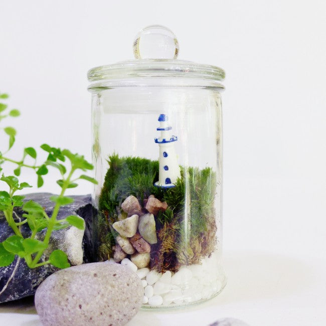 Event Booth - Mini Esta Moss Terrarium - Make Your Own