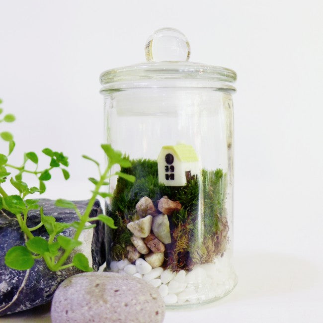 Event Booth - Mini Esta Moss Terrarium - Make Your Own