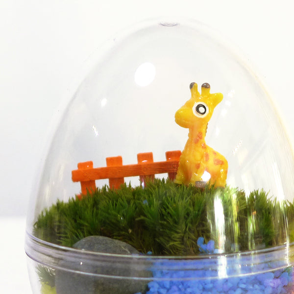 Kids Party Mini Egg Moss Terrarium DIY Kit - Make Your Own