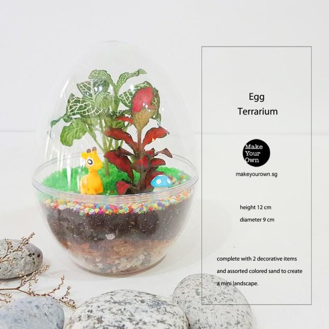 Corporate Dreamscape Moss Terrarium Workshop - Make Your Own